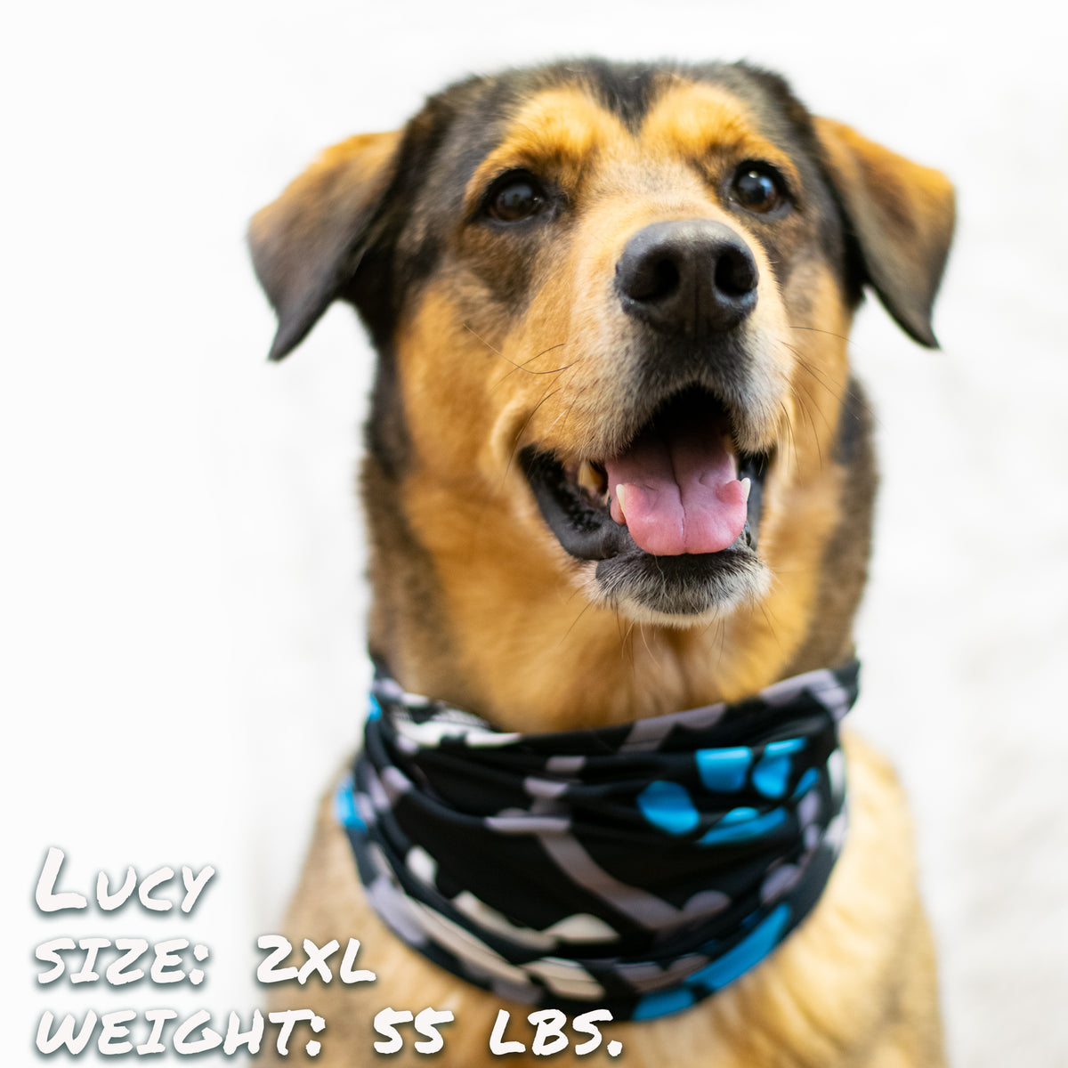 Bone Dogger Pup Scruff – Pup Scruffs