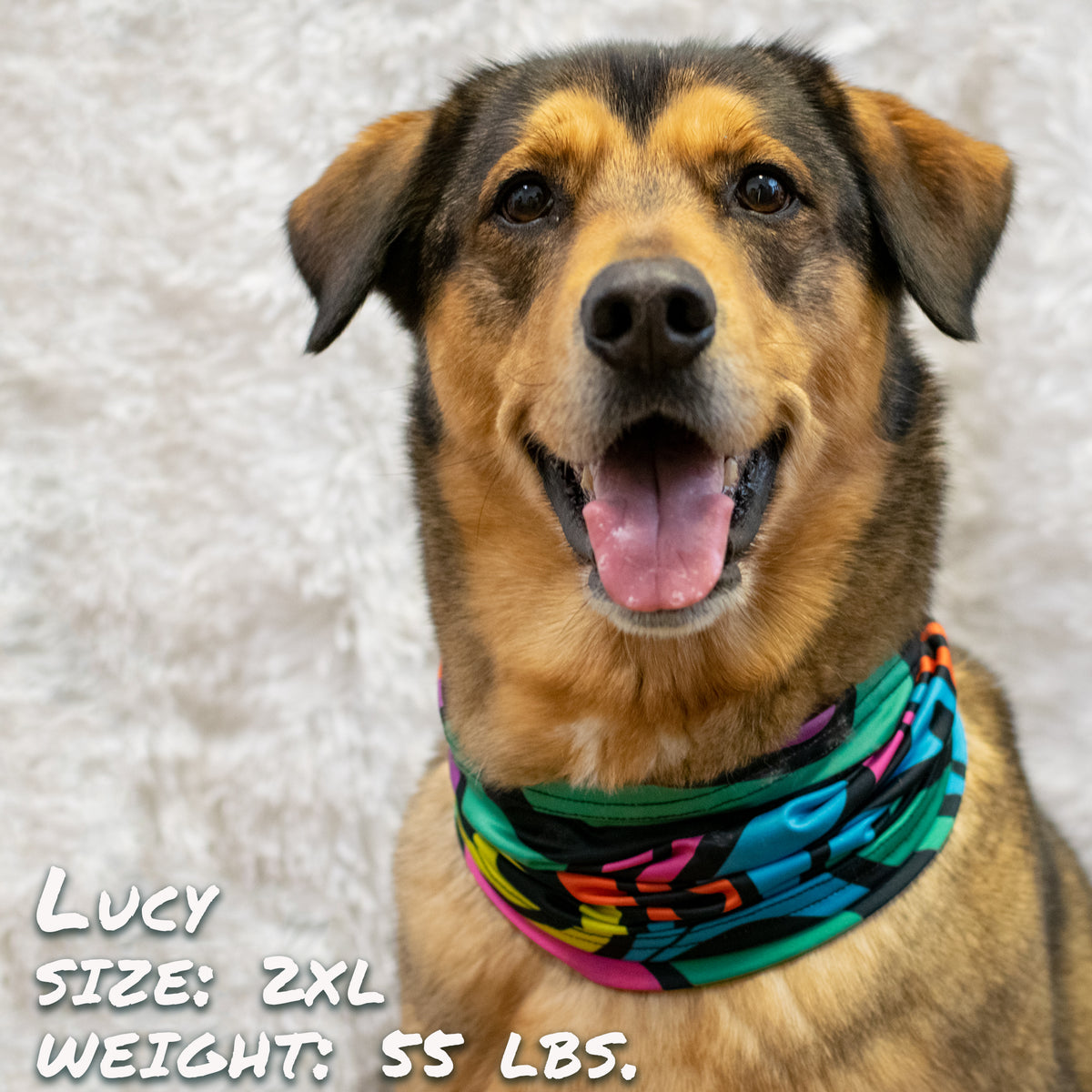 Zoomies Pup Scruff – Pup Scruffs